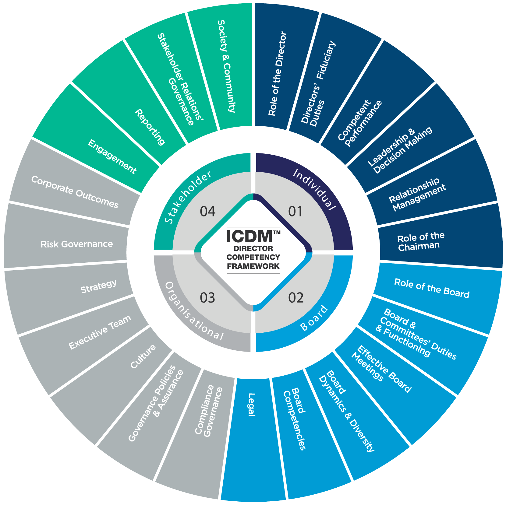 ICDM Director Competency Framework | ICDM